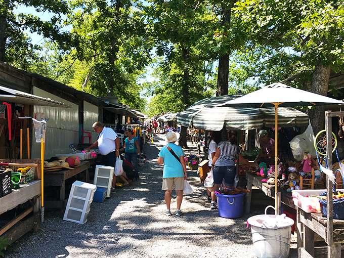 Dappled sunlight guides shoppers through this no-frills market where rustic charm meets bargain-hunting bliss.