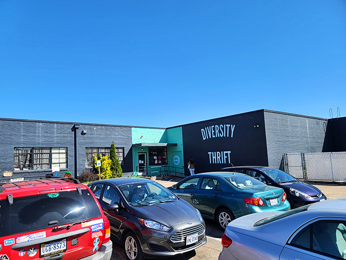 Richmond's favorite spot for mid-century finds and funky fashion, all while supporting programs that celebrate diversity.