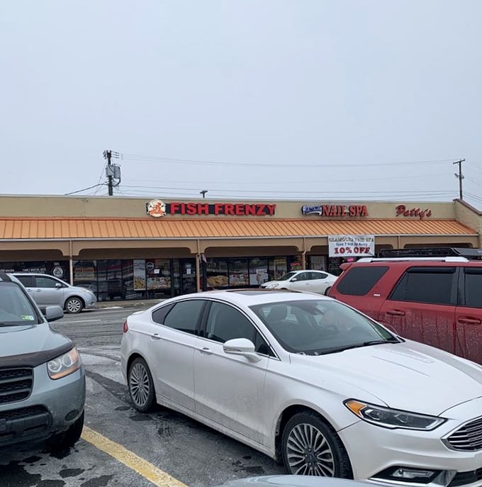 Fish Frenzy shopping center: "Hidden in plain sight, like finding an oyster pearl in a strip mall. The treasures inside are just as unexpected."