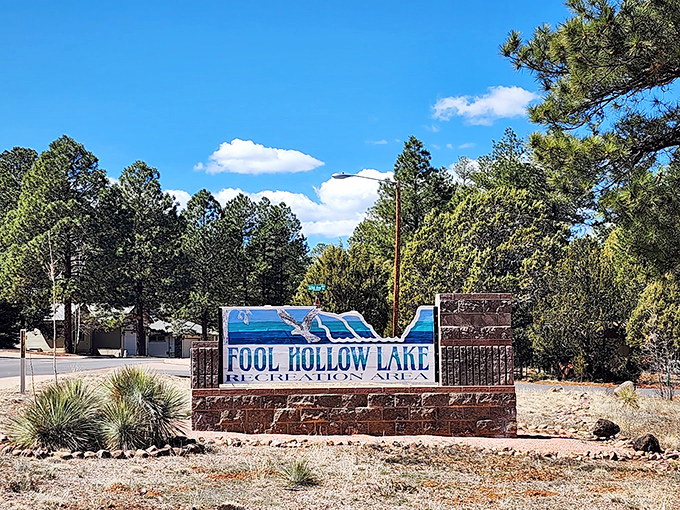 Mirror-like waters at Fool Hollow reflect the surrounding pines&mdash;nature's version of a double feature.