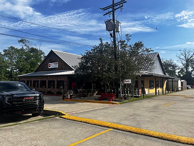 Morning sunshine filters through the trees around Frank's, nature's way of spotlighting where breakfast magic happens.