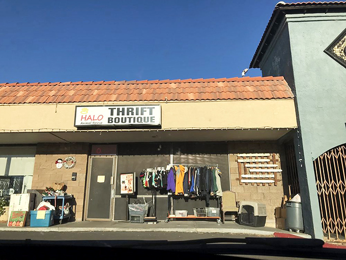 Under that terracotta roof, HALO transforms shopping into an act of community service. Retail therapy with actual therapeutic benefits.