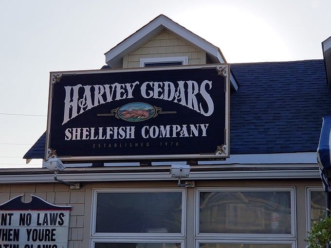 Harvey Cedars Shellfish Co.: Beach-worn wood siding, world-class shellfish inside. Like finding treasure in the most obvious spot.