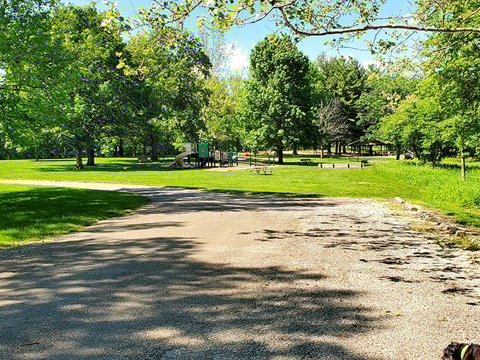 Tall trees create a natural cathedral with sunlight streaming through like stained glass. Soul restoration in progress.