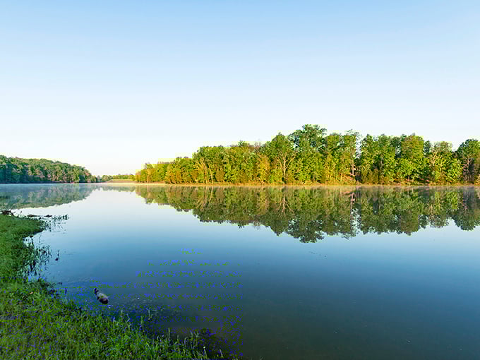 Fall's fiery palette transforms Kincaid Lake into a masterpiece of color that even Bob Ross would envy.