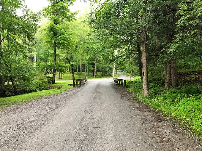 The Housatonic River valley spreads out like a patchwork quilt from Macedonia Brook's summit&mdash;worth every step of the climb.