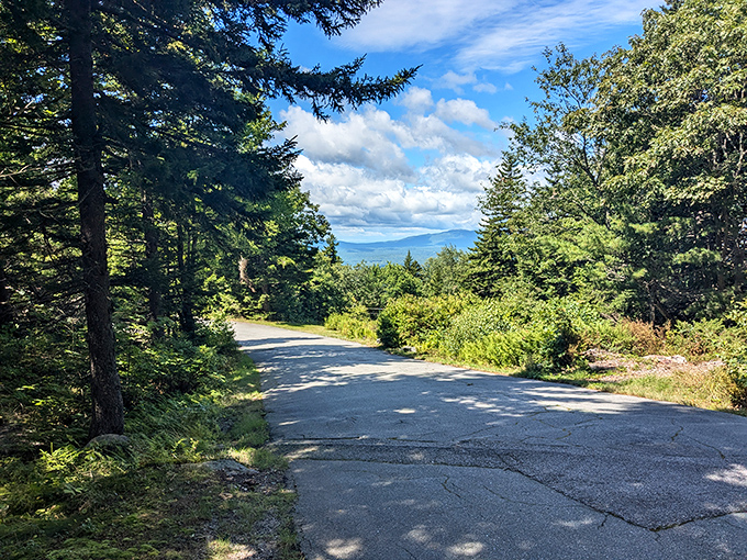 The road to Miller's summit might be winding, but those panoramic views make every curve worthwhile.
