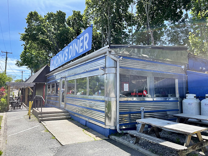 This classic diner car design has witnessed more breakfast revelations than most people have had hot meals.