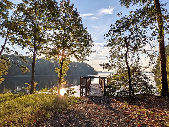 Morning gold at North Toledo Bend. This dock offers the perfect stage for nature's daily light show.