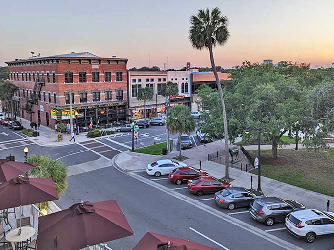 Ocala's palm-lined streets and historic buildings create that "Old Florida" atmosphere that's becoming increasingly rare in the state's overdeveloped areas.