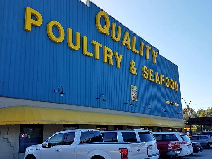 Palm trees frame Quality Poultry & Seafood - a tropical welcome to a place where "fresh" isn't just a word, it's a religion. 