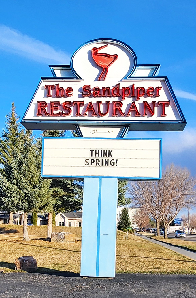 That vintage sign practically chirps "come in!" The Sandpiper's retro appeal proves great seafood spots age like fine wine.