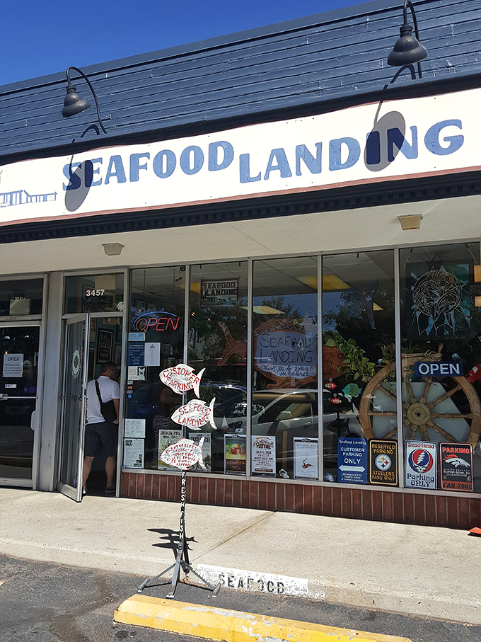The hand-painted fish signs outside Seafood Landing tell you everything &ndash; this place is serious about seafood.