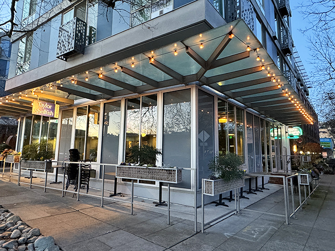 Evening at Taylor Shellfish – where oysters and architecture create Seattle's most stylish seafood experience.
