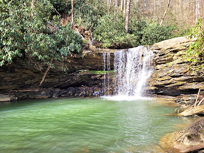 Nature's own infinity pool! Twin Falls' cascading waters create emerald swimming holes that no resort could ever replicate.