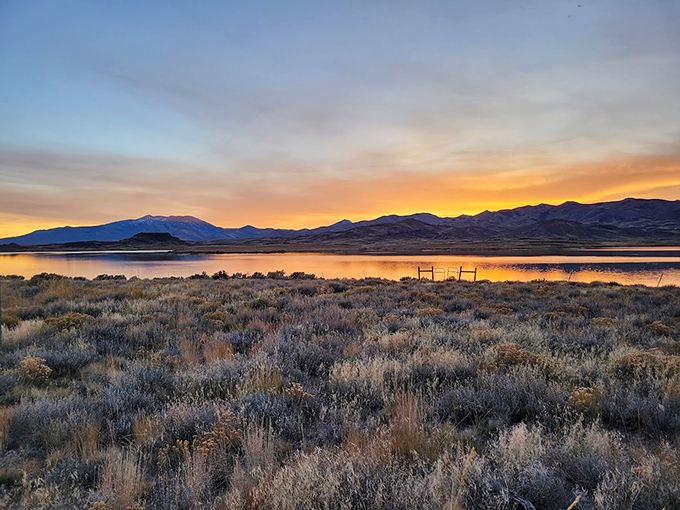 Sunset transforms Wild Horse's waters into liquid gold. Even the most dedicated smartphone photographers put down their devices just to watch.