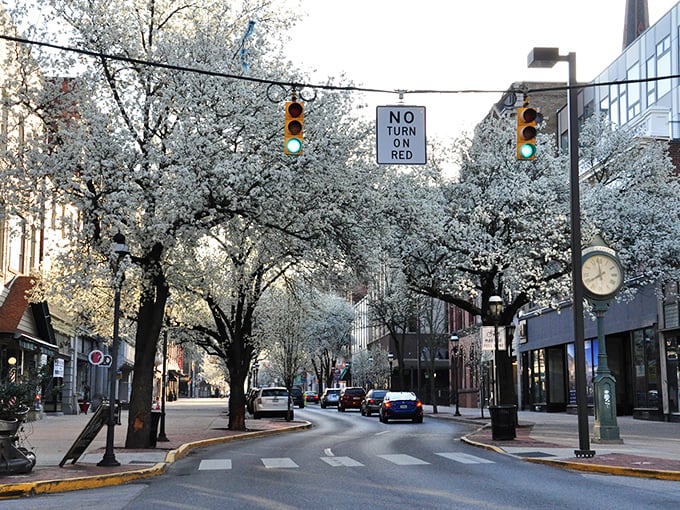 Spring blossoms frame York's streets, where seasonal beauty comes free of charge and housing costs remain firmly in the "reasonable" category.