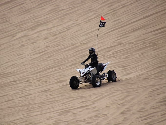 For the thrill-seekers, designated ATV areas near South Jetty offer a different kind of coastal experience&mdash;sand dunes become nature's roller coaster.