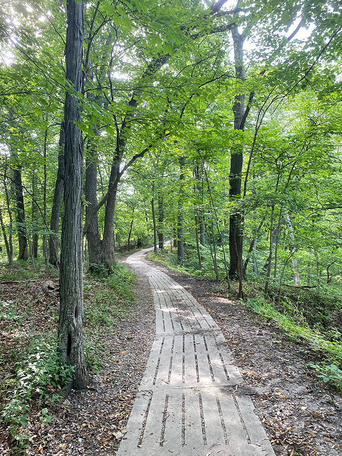 This boardwalk through the forest feels like nature's version of the yellow brick road&mdash;minus the flying monkeys, thankfully.