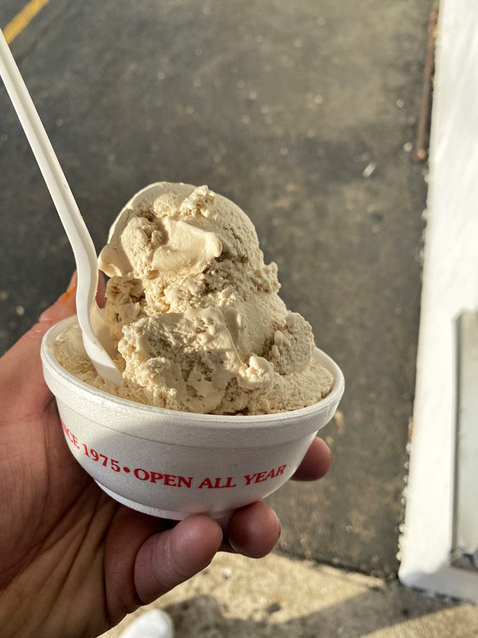 Butter Pecan so loaded with nuts, you'll wonder if you're eating ice cream with pecans or pecans with ice cream. The eternal question.