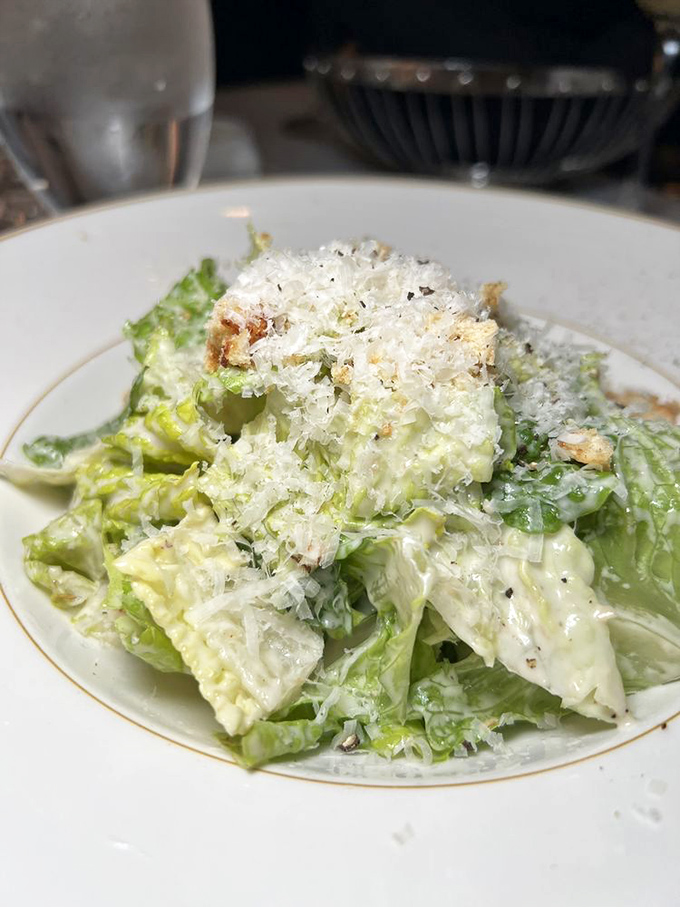 A proper Caesar salad: crisp romaine, shaved Parmesan, and house-made dressing. Simple perfection that would make Julius himself stand and applaud.