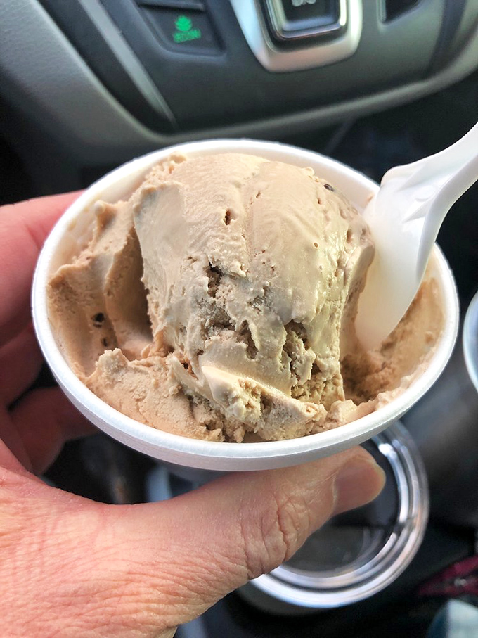 Coffee lovers, rejoice! This caf&eacute; latte scoop delivers the perfect caffeine kick in frozen form. No morning commute required.