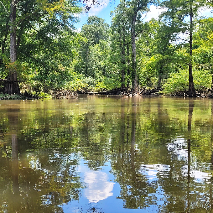 The Chipola River reflects the Florida sky with mirror-like precision. Even the trees seem to be admiring their reflection&mdash;narcissism runs deep in nature.