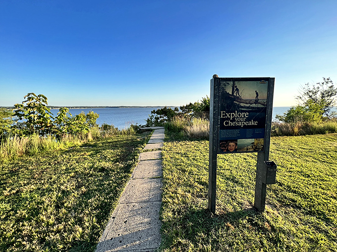 "Explore Your Chesapeake" isn't just a sign—it's an invitation to discovery. The path ahead promises vistas that no smartphone camera can truly capture.