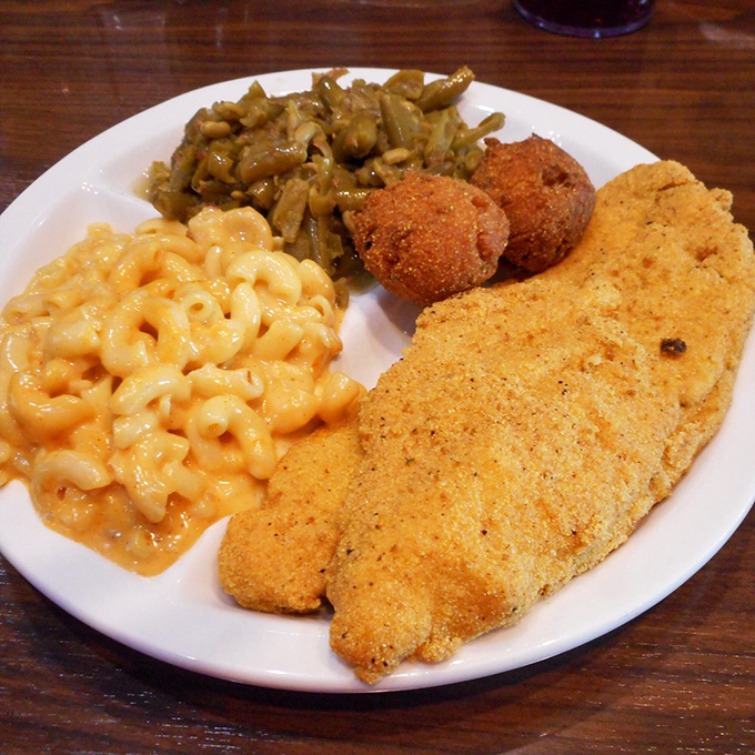 Perfectly golden catfish with mac and cheese that's clearly never seen the inside of a blue box. This is honest food that doesn't lie.