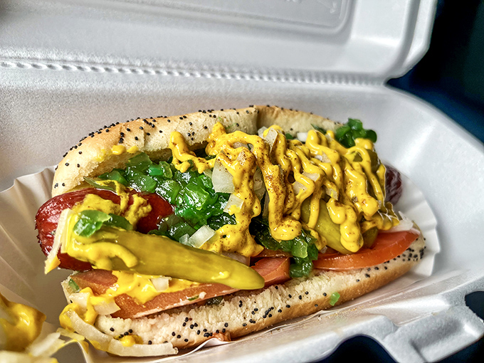 The Chicago dog &ndash; a colorful rebellion against plain ketchup and mustard, dressed to impress with that signature poppy seed bun.
