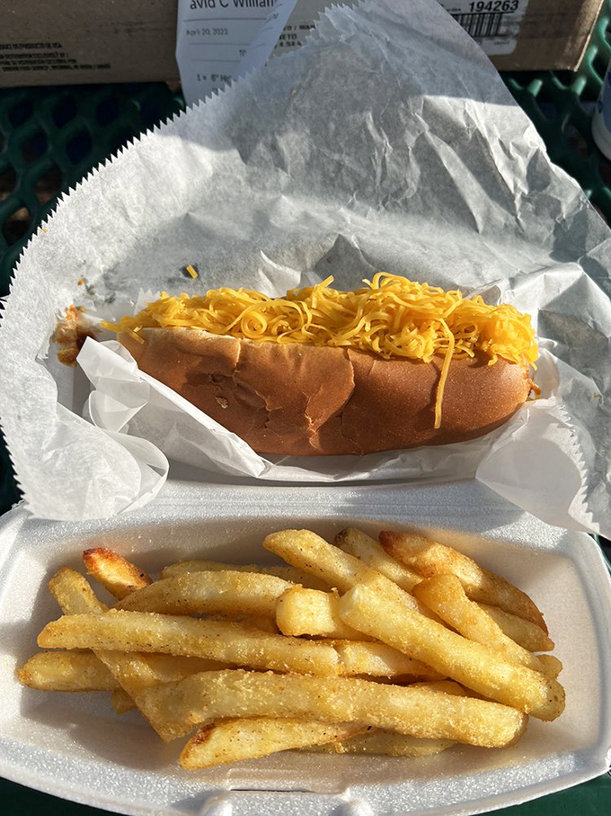 The classic pairing that launched a thousand childhood memories: a chili cheese dog with crispy fries, wrapped in paper like a delicious gift.