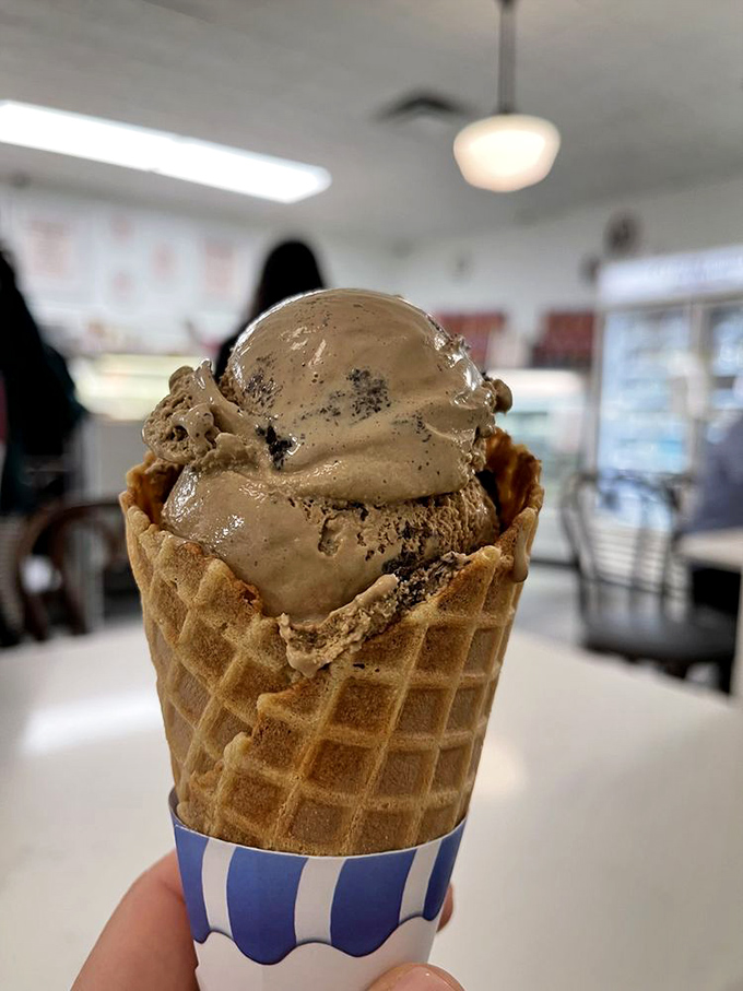 When cookies and cream is done right, the cookie chunks maintain their structural integrity like tiny chocolate architecture projects in a sea of sweet cream.