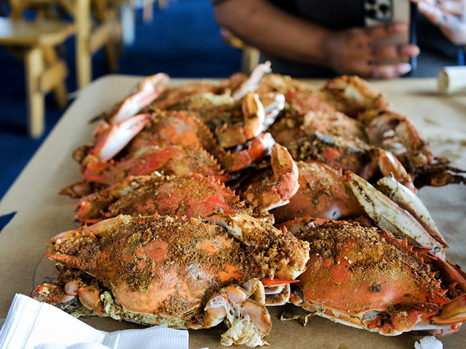 Maryland's famous blue crabs, generously dusted with spices, waiting to reveal their sweet meat treasures to those willing to work for it