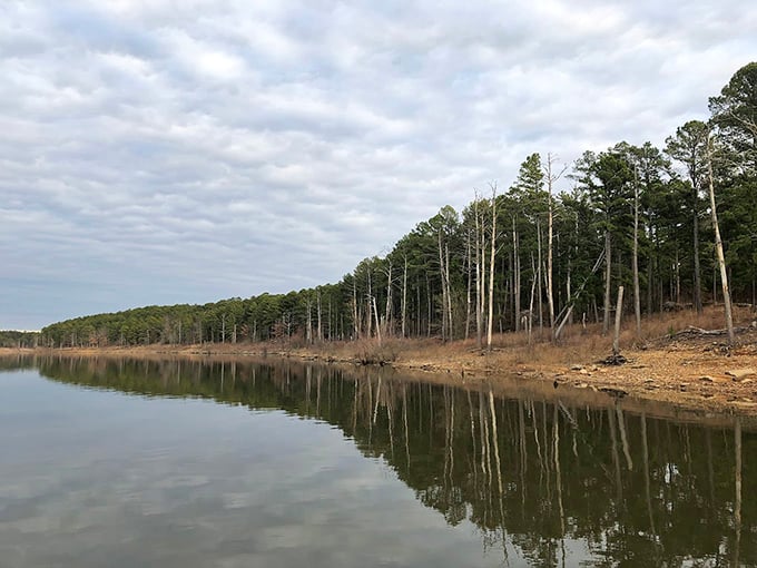 Tall pines create nature's cathedral along the shoreline, their reflections doubling the majesty in the still morning waters.