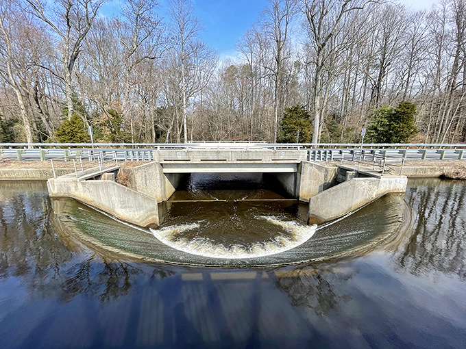 Water cascades over the dam in hypnotic patterns, nature's version of that meditation app you paid for but never use.