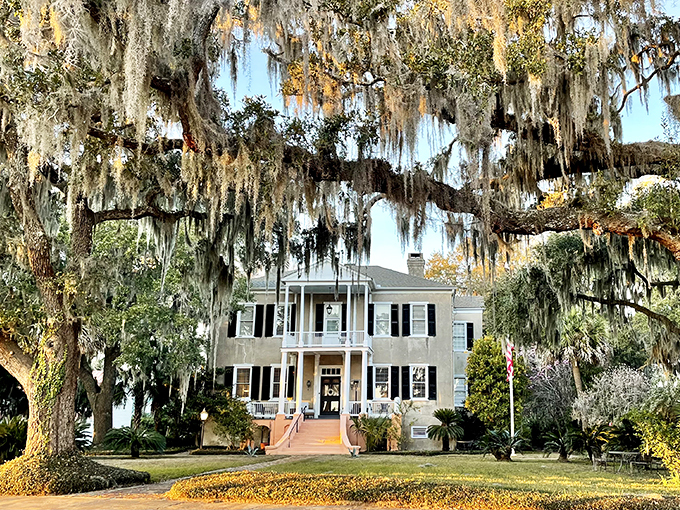 Draped in Spanish moss like nature's own wedding veil, this antebellum beauty has witnessed centuries of Beaufort's unfolding story.