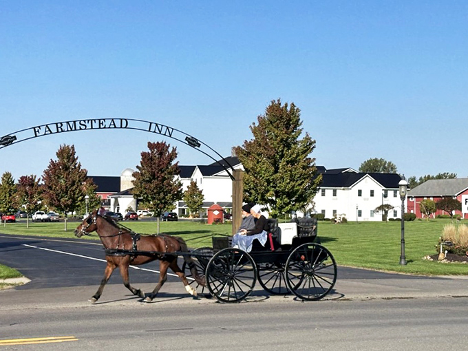 At Farmstead Inn, the welcome is as genuine as the craftsmanship. Watch horse-drawn buggies clip-clop past while sipping your morning coffee.