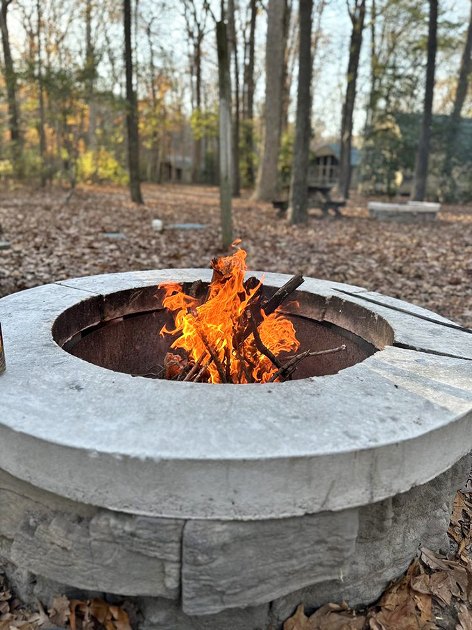 The original Netflix&mdash;staring into dancing flames while marshmallows achieve that perfect golden-brown. Campfire therapy at its finest.