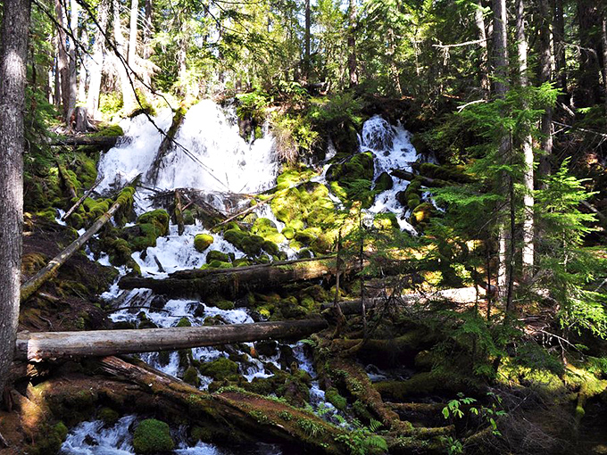 Water cascades through moss-covered logs in a display that makes your fancy home fountain look like a leaky faucet.