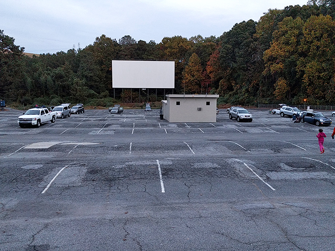 A canvas of cracked asphalt tells stories of decades of moviegoers, each parking space a temporary home for film lovers.