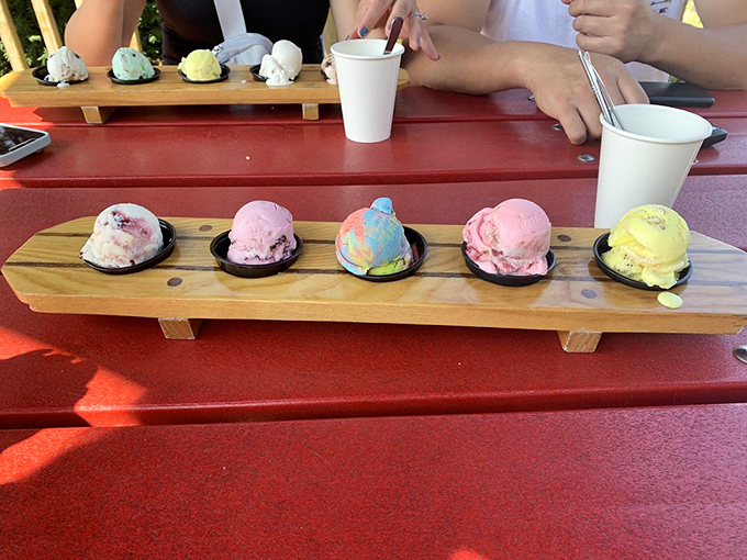 The ice cream flight proves indecision isn't always a bad thing. Sometimes it's the path to enlightenment, one tiny scoop at a time.