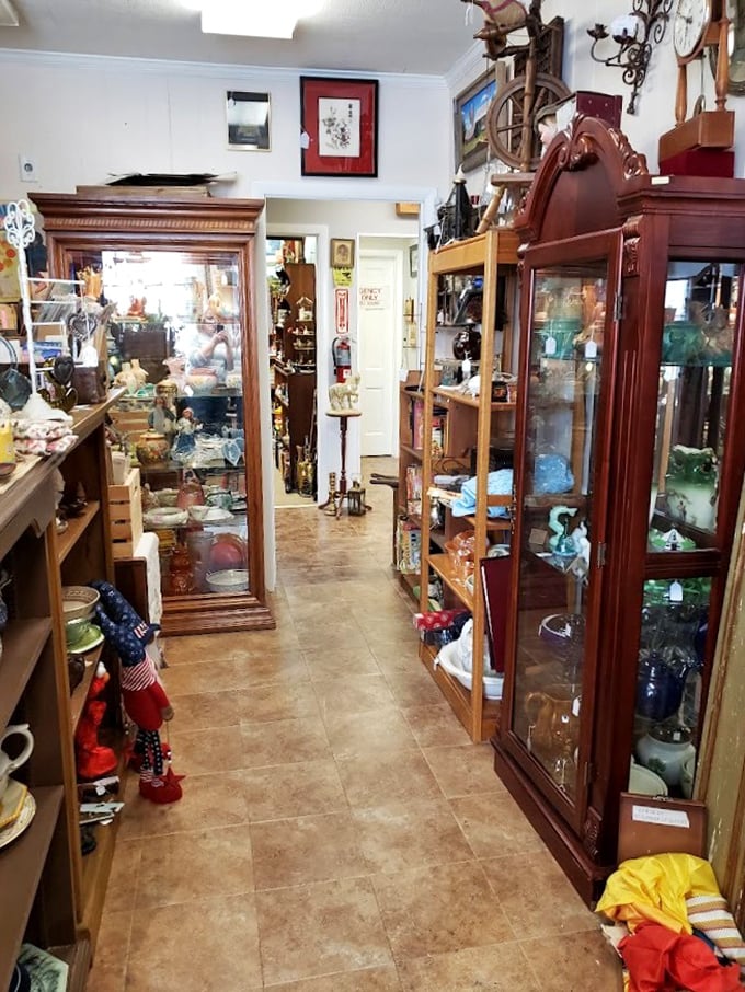 Tall wooden display cases stand like sentinels guarding fragile treasures&mdash;each shelf a museum exhibit you can actually take home.
