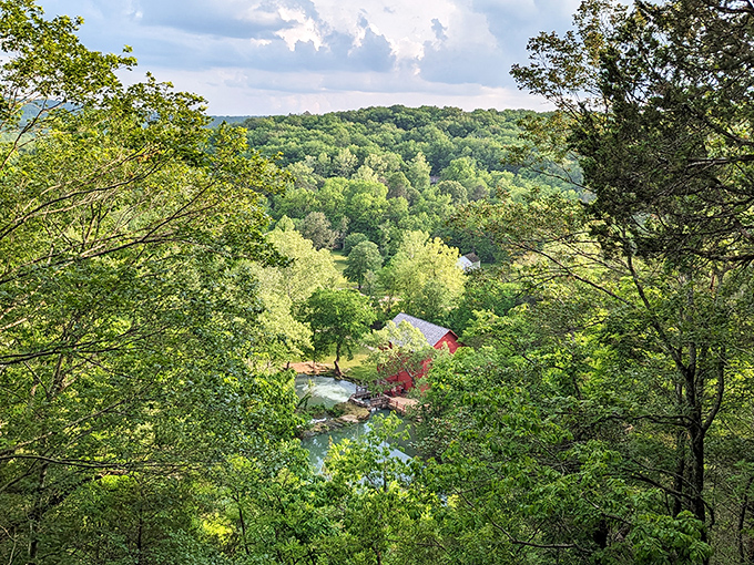 From this overlook, the emerald canopy stretches to the horizon, with the red mill peeking through like a hidden Easter egg in a video game.