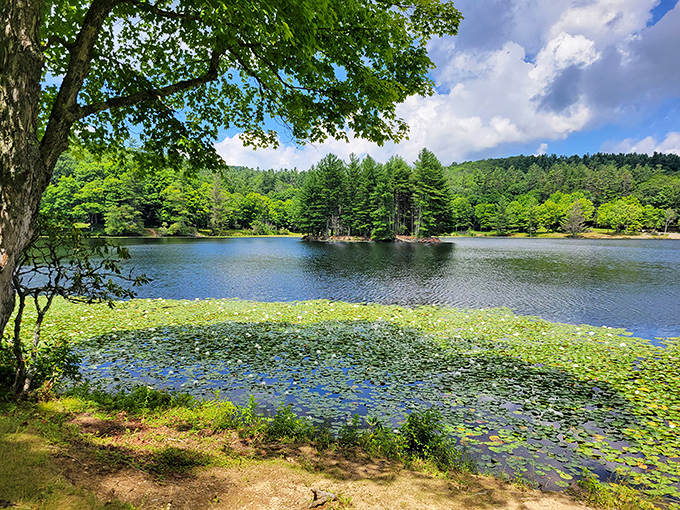 That magical moment when you realize your smartphone camera will never quite capture how truly spectacular this place is.