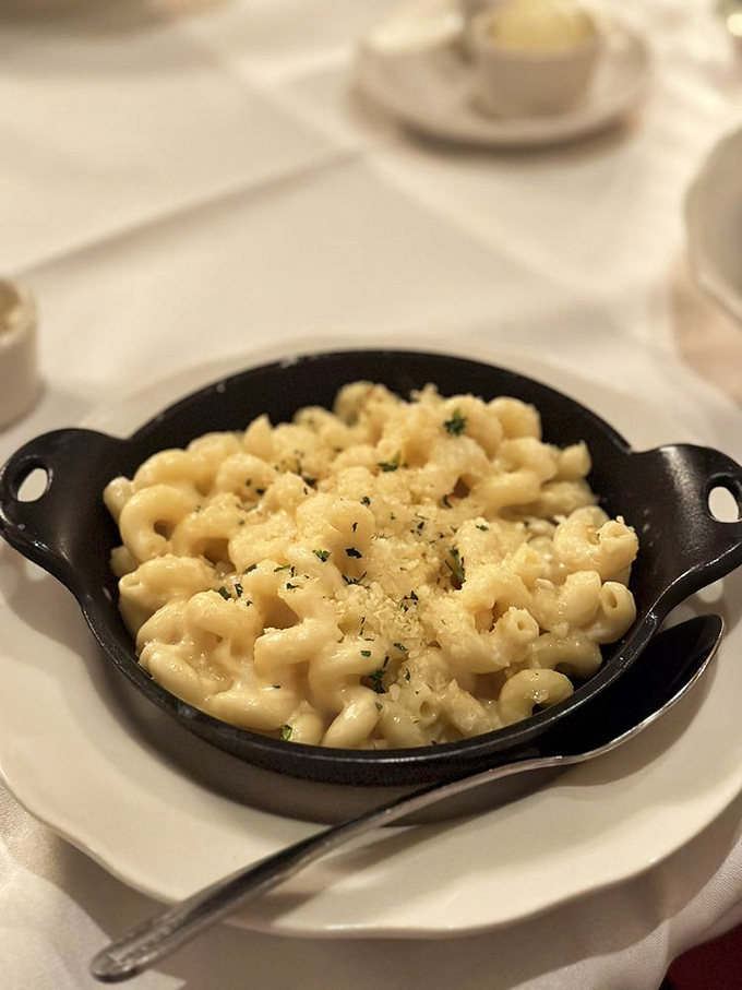 Mac and cheese that makes you understand why adults fight children for it. This isn't nostalgia &ndash; it's an improvement on your memories.