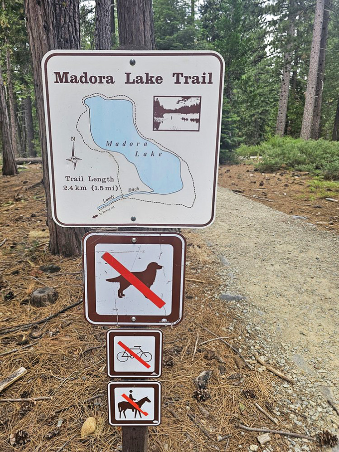 The Madora Lake Loop Trail sign &ndash; nature's version of a menu where every option leads to something wonderful, just leave Fido at home.