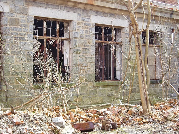 Windows to nowhere. Nature slowly reclaims this abandoned structure, with each broken pane telling stories of those who once gazed outward.