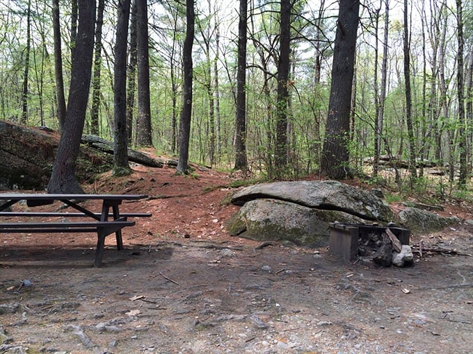 Take a break at this inviting picnic table nestled among tall pines and rugged boulders for a peaceful outdoor meal.