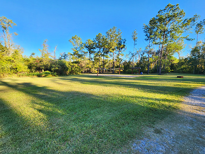 Golden hour at Tickfaw turns even the simplest clearing into nature's amphitheater, where the only performance required is your appreciation.