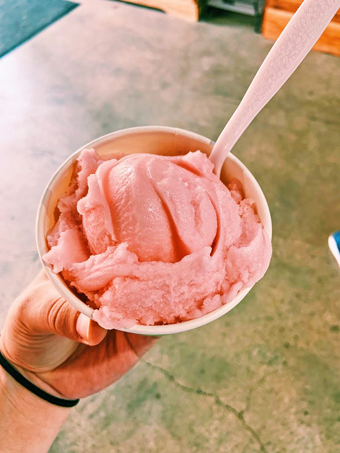 This pink lemonade sorbet isn't just a dessert; it's summer in a cup. Refreshingly tart with a color that screams "photograph me!"